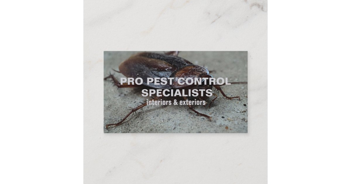 Pest Control Service Photo Business Card | Zazzle