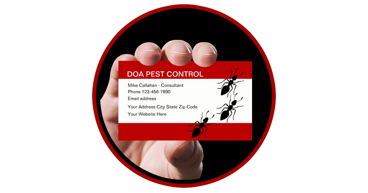 Pest Control Services Modern Design Business Card | Zazzle