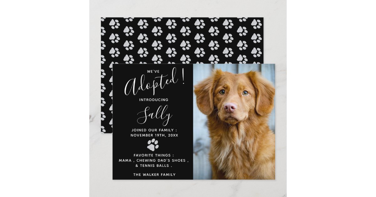 Pet Adoption Announcement - Elegant Modern New Pet | Zazzle