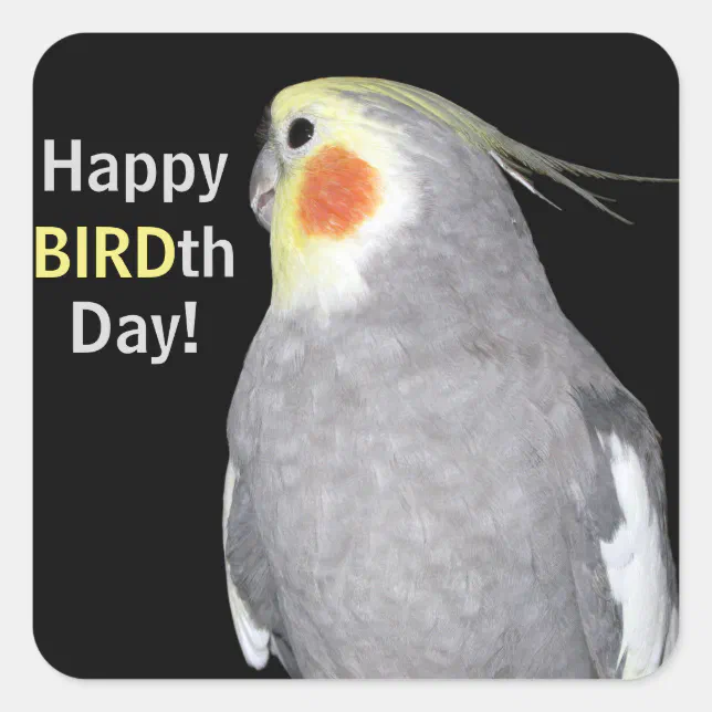 Pet Bird Cockatiel Photo Happy BIRDth Day Birthday Square Sticker | Zazzle