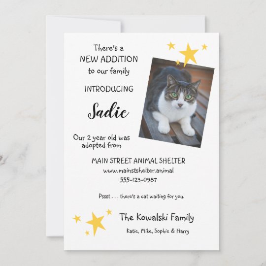 Pet Cat Adoption New Pet Announcement Flat Card | Zazzle.com