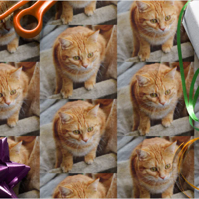 Pet Cat Dog Photo Personalize Custom Wrapping Paper | Zazzle