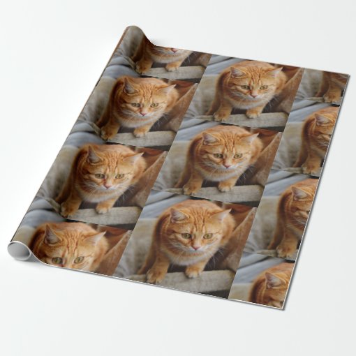 Pet Cat Dog Photo Personalize Custom Wrapping Paper | Zazzle