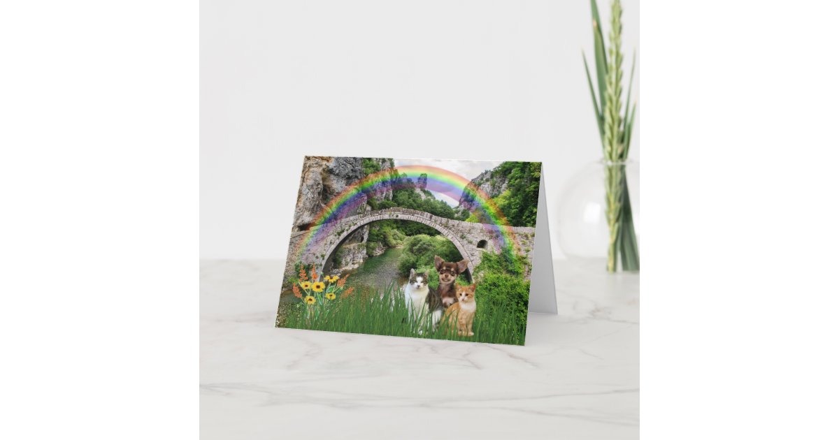 Pet Cat or Dog Rainbow Bridge Condolence Sympathy Holiday Card | Zazzle