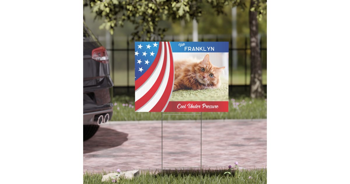 Pet Cat Photo Presidential Election 2024 Vote Sign | Zazzle