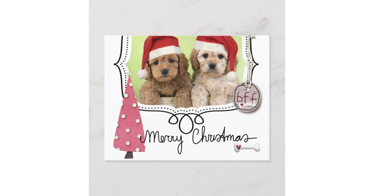 Pet Christmas Photo Card | Zazzle