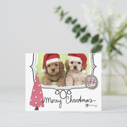 Pet Christmas Photo Card | Zazzle
