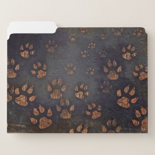 Pet Dog Cat Paw Prints File Folder | Zazzle