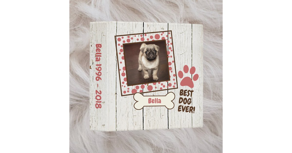 Pet Dog Girl Photo Scrapbook Album 3 Ring Binder | Zazzle
