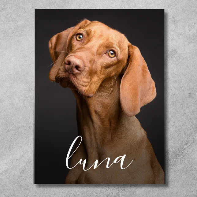 Pet Dog Photo Personalized Name Poster | Zazzle