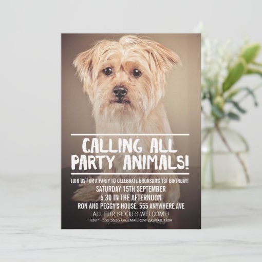 PET DOG'S PARTY PHOTO INVITE | Zazzle