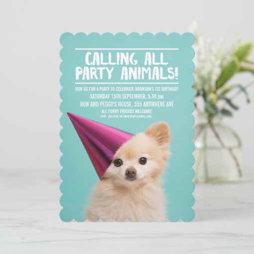 PET DOG'S PUPPY PARTY PHOTO INVITE | Zazzle