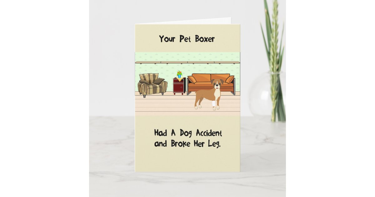Pet Female Boxer Get Well Soon Card | Zazzle