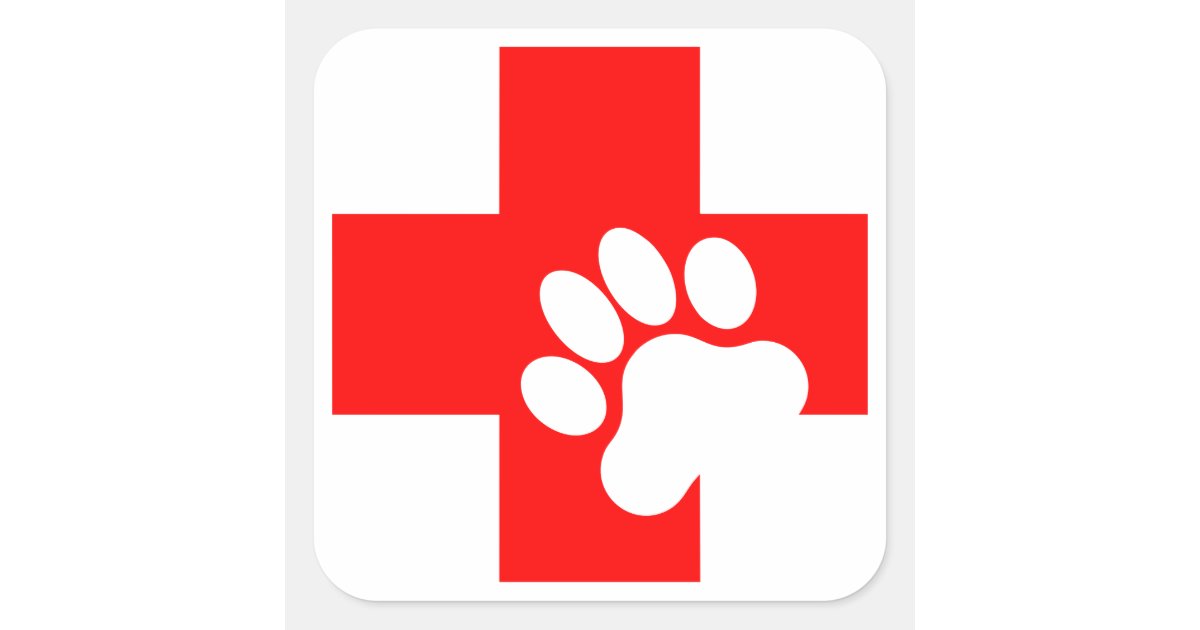 Pet First Aid Decals Square Sticker | Zazzle