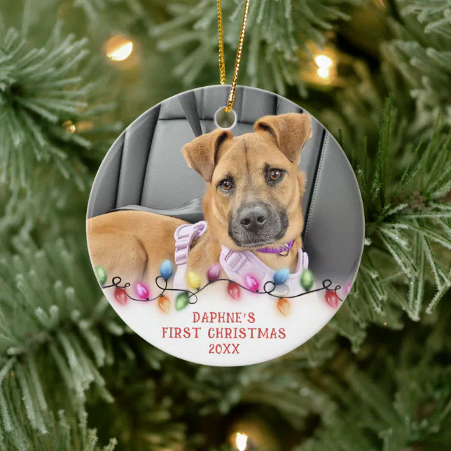 Pet First Christmas Lights 2 Photos Personalized Ceramic Ornament | Zazzle