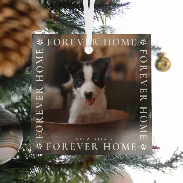 Pet Forever Home Photo Keepsake Christmas Glass Ornament | Zazzle