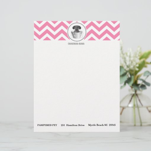 Pet Groomer Business Letterhead Paper | Zazzle