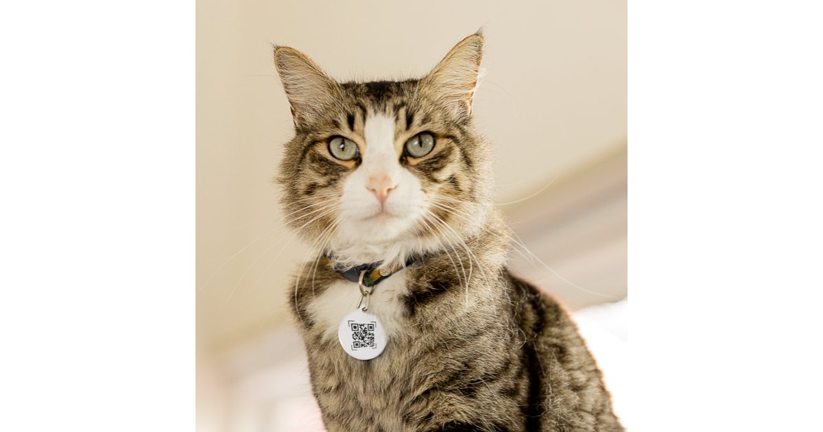 Pet ID Tag | If Lost QR Code Scan | Zazzle