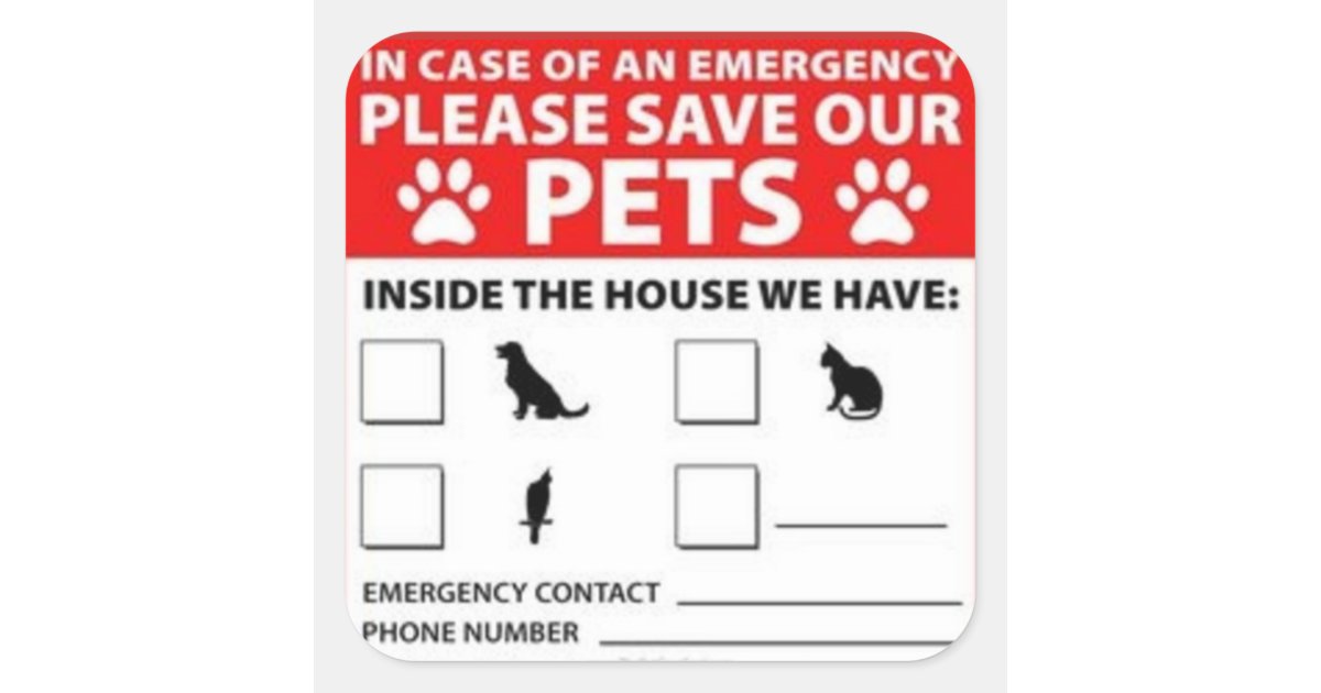 Pet Inside Alert Square Sticker | Zazzle