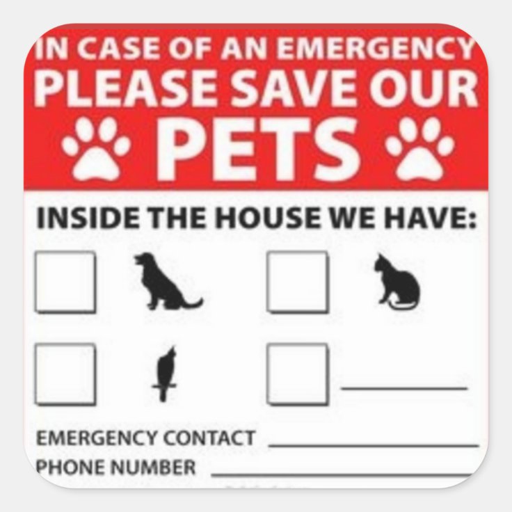 Pet Inside Alert Square Sticker | Zazzle