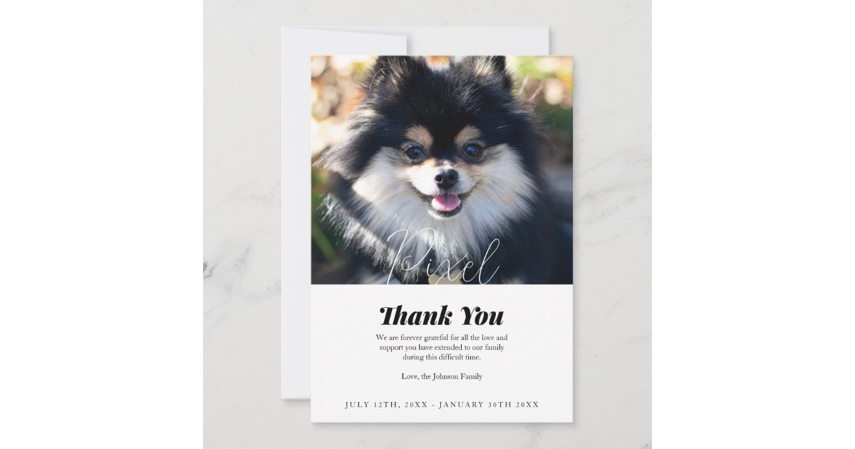 Pet Loss Thank You Sympathy Card | Zazzle