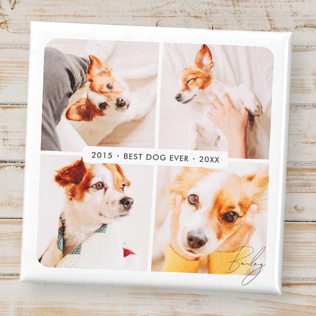 Pet Memorial Best Dog Ever Modern Photo Collage Magnet | Zazzle