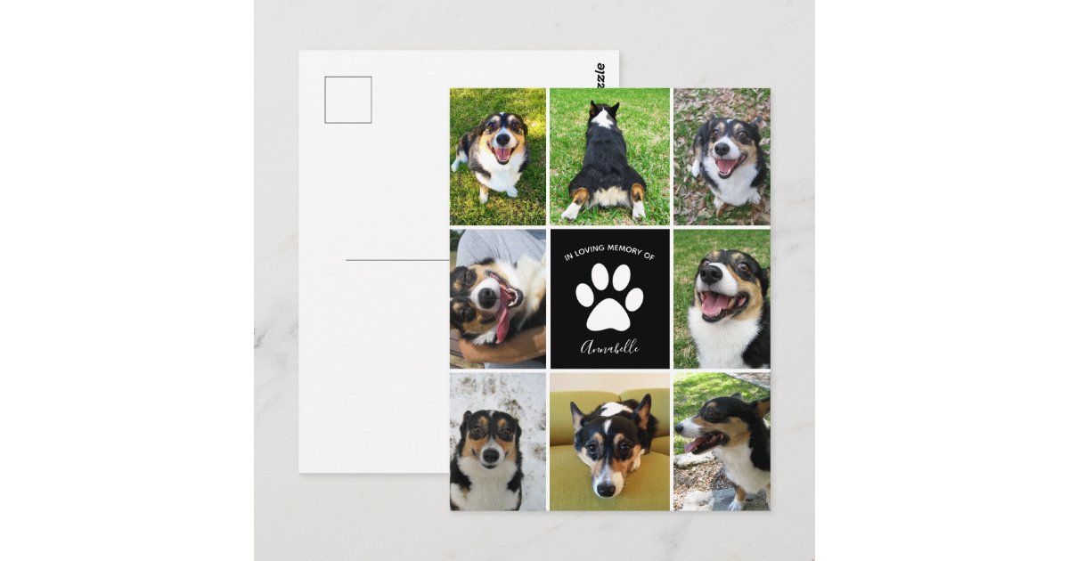 Pet Memorial Custom Dog Collage In Loving Memory Postcard | Zazzle