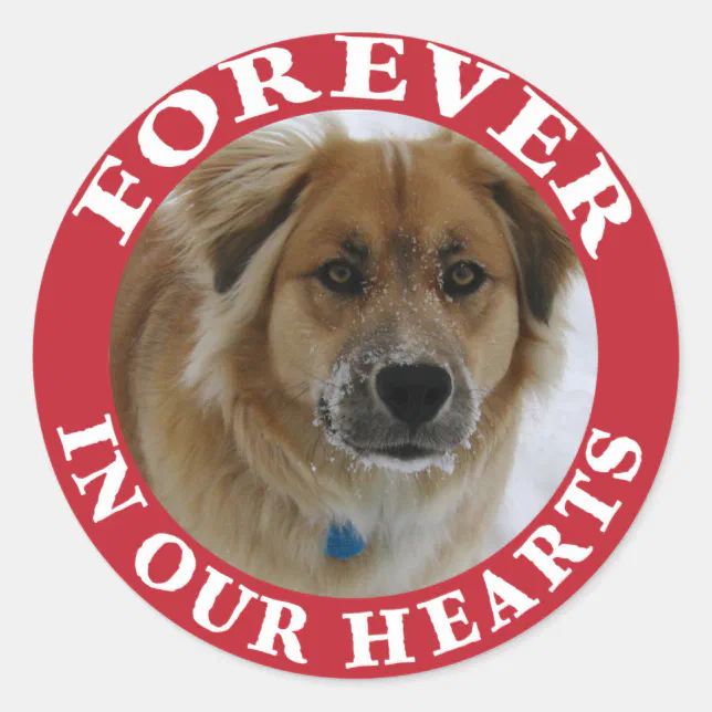 Pet Memorial Forever Holiday red Classic Round Sticker | Zazzle