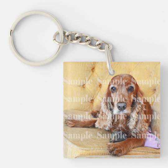 Pet memorial photo PERSONALIZE Keychain | Zazzle.com