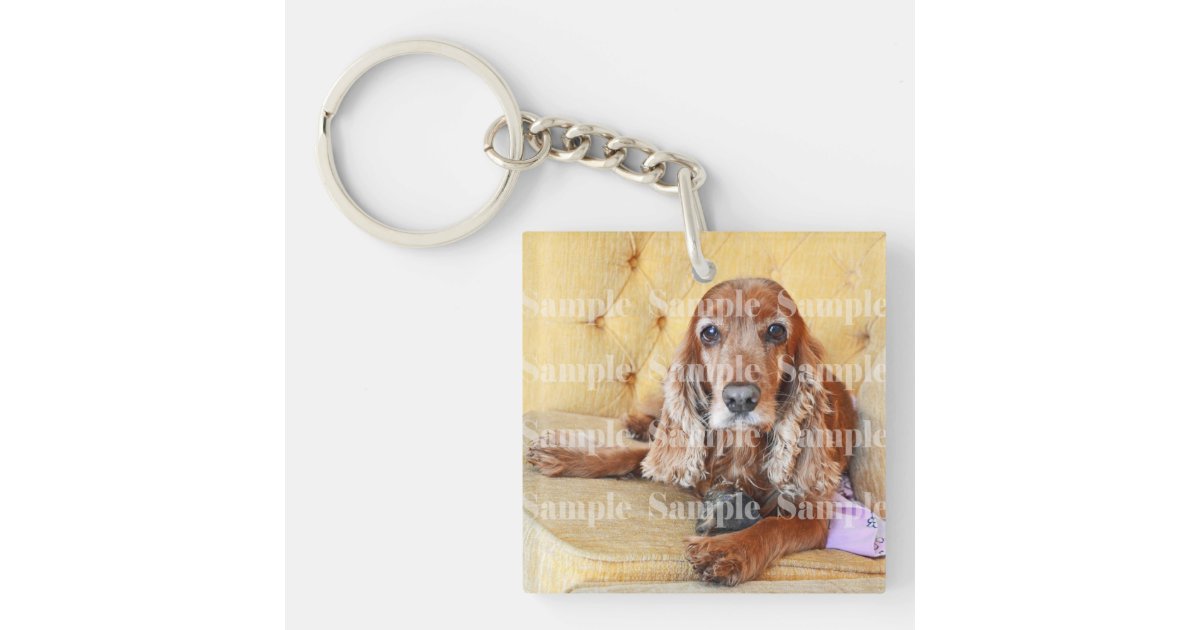 Pet memorial photo PERSONALIZE Keychain | Zazzle