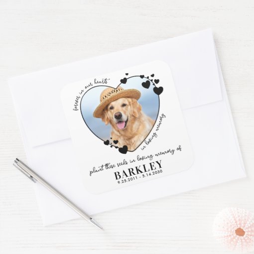 Pet Memorial Seed Packet Heart Custom Dog Photo Square Sticker | Zazzle