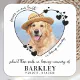 Pet Memorial Seed Packet Heart Custom Dog Photo Square Sticker | Zazzle