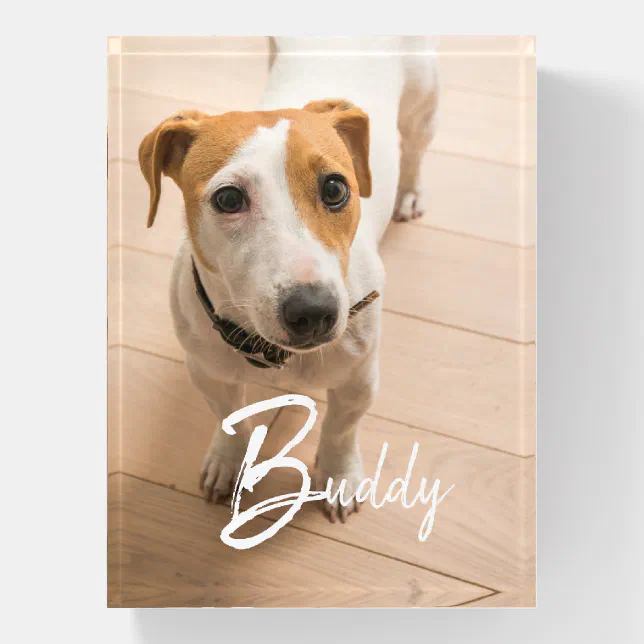 Pet Name in Script Typography and Pet Photo Paperweight | Zazzle