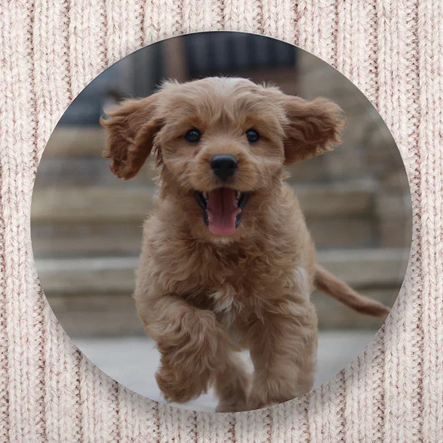 Pet Photo Button Pin | Custom Dog Picture DIY Pins | Zazzle