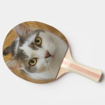 Pet Photo Custom Image Ping Pong Paddle | Zazzle