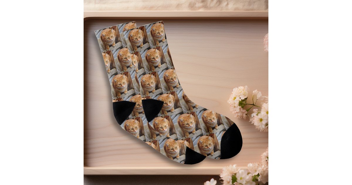 Pet Photo Customized Fun Dog Cat Socks | Zazzle
