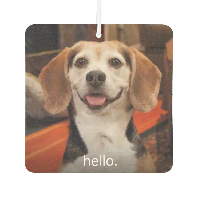 Pet Photo Cute Funny Dog Animal Hello Quote Air Freshener | Zazzle