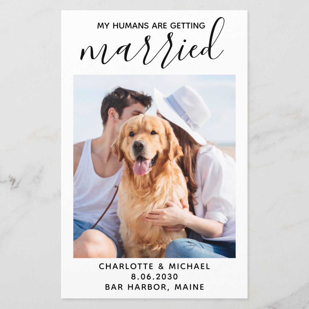 Pet Photo Dog Wedding My Humans Getting Married | Zazzle