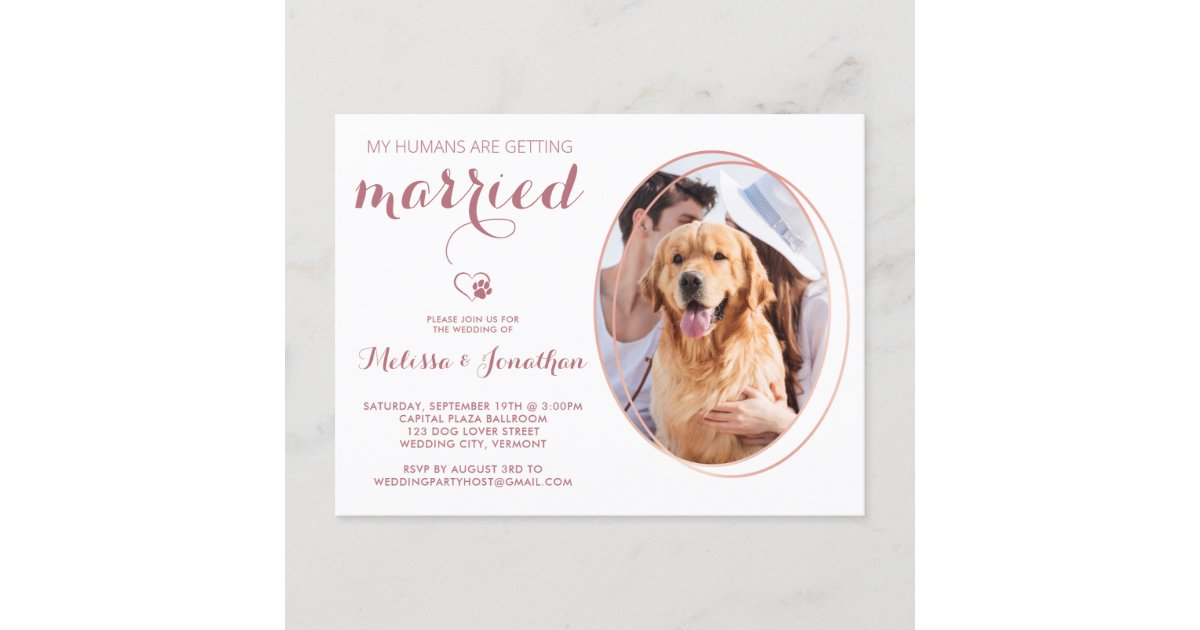 Pet Photo Personalized Dog Wedding Rose Gold Invitation Postcard | Zazzle