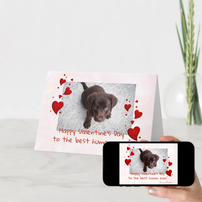 Pet Photo Template Valentine's day Customize Card | Zazzle