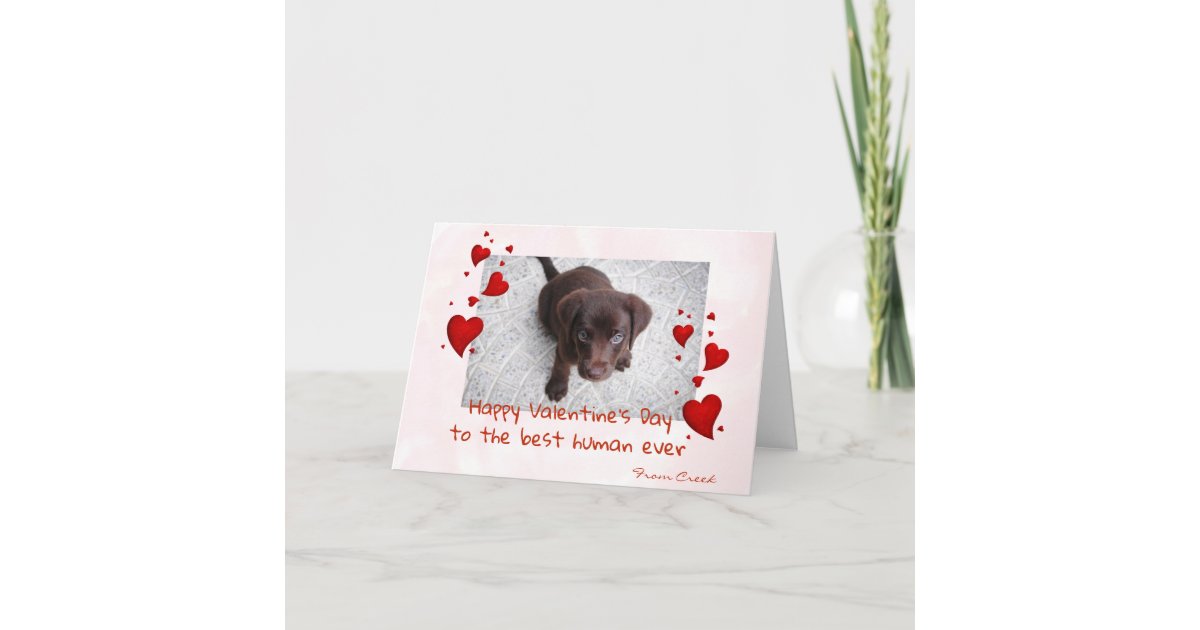Pet Photo Template Valentine's day Customize Card | Zazzle