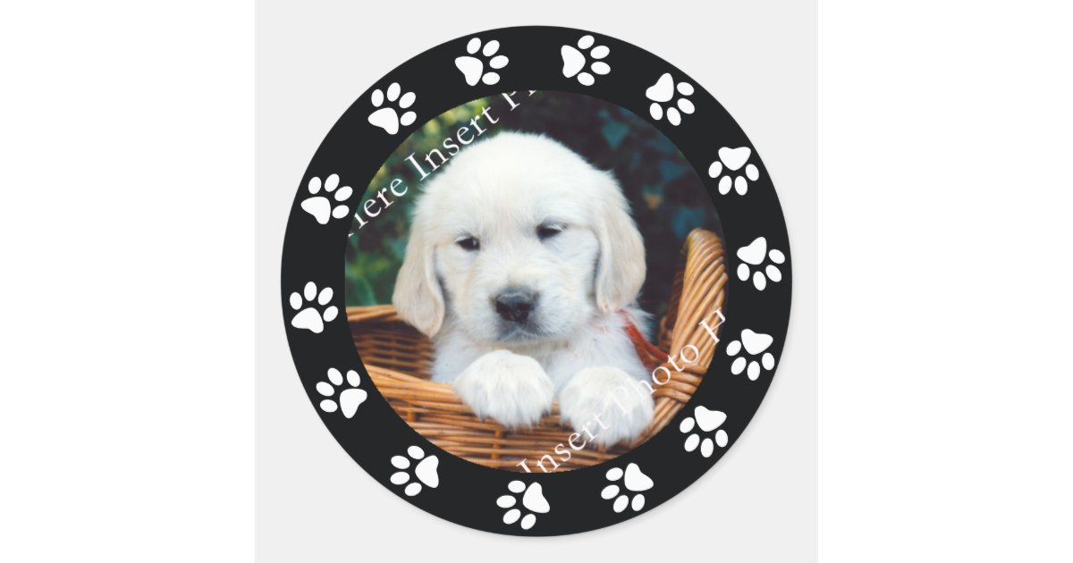 Pet Puppy Dog Paw Print Border Frame Sticker Label | Zazzle