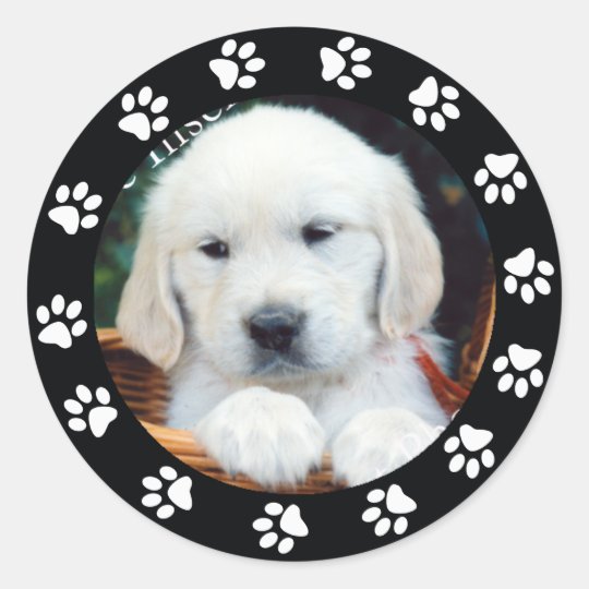 Pet Puppy Dog Paw Print Border Frame Sticker Label | Zazzle.com