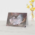 Pet Rat Anniversary Card | Zazzle