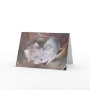 Pet Rat Anniversary Card | Zazzle