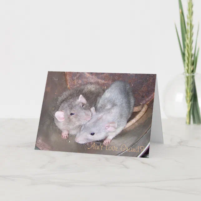 Pet Rat Anniversary Card | Zazzle