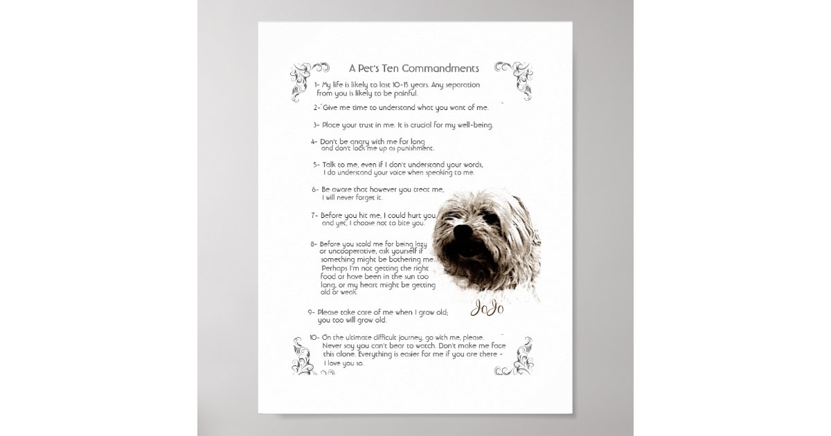 Pet Rules - JoJo Poster | Zazzle