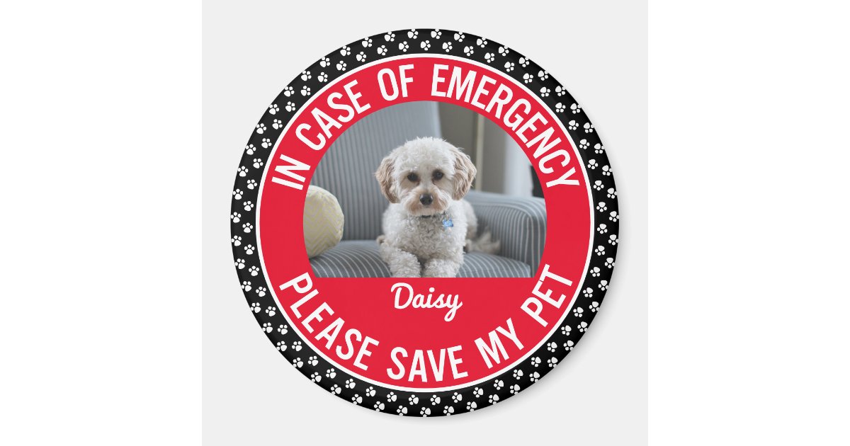 Pet Safety Alert Photo & Name Emergency Responder Magnet | Zazzle