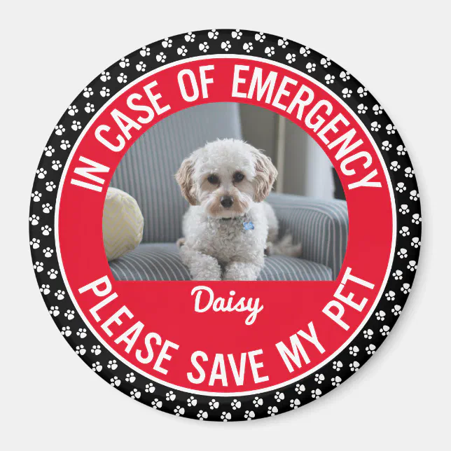 Pet Safety Alert Photo & Name Emergency Responder Magnet | Zazzle