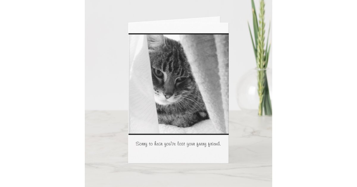 pet sympathy card | Zazzle
